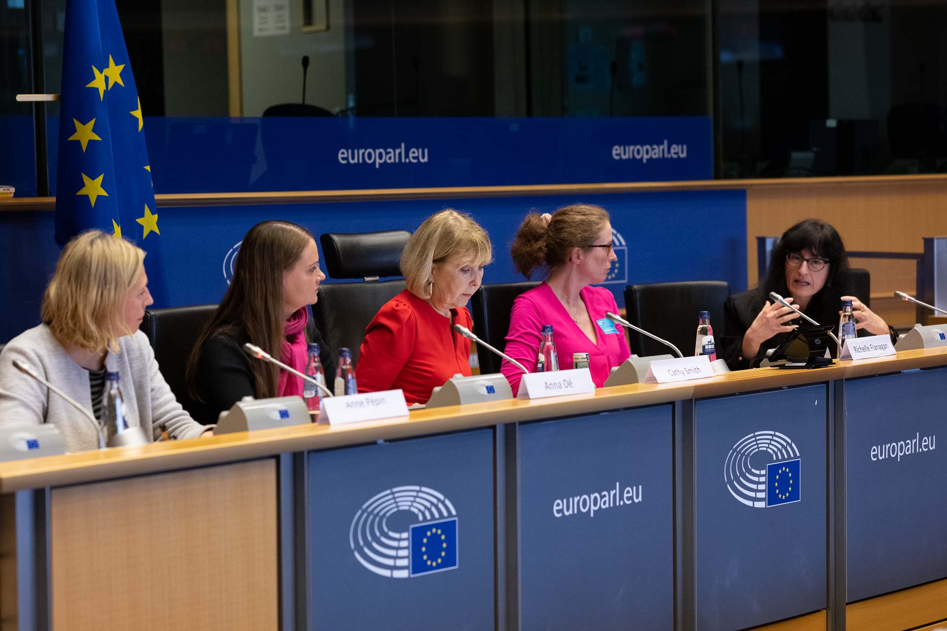 MEP Interest Group on Brain, Mind and Pain (BMP) European Parliament ...